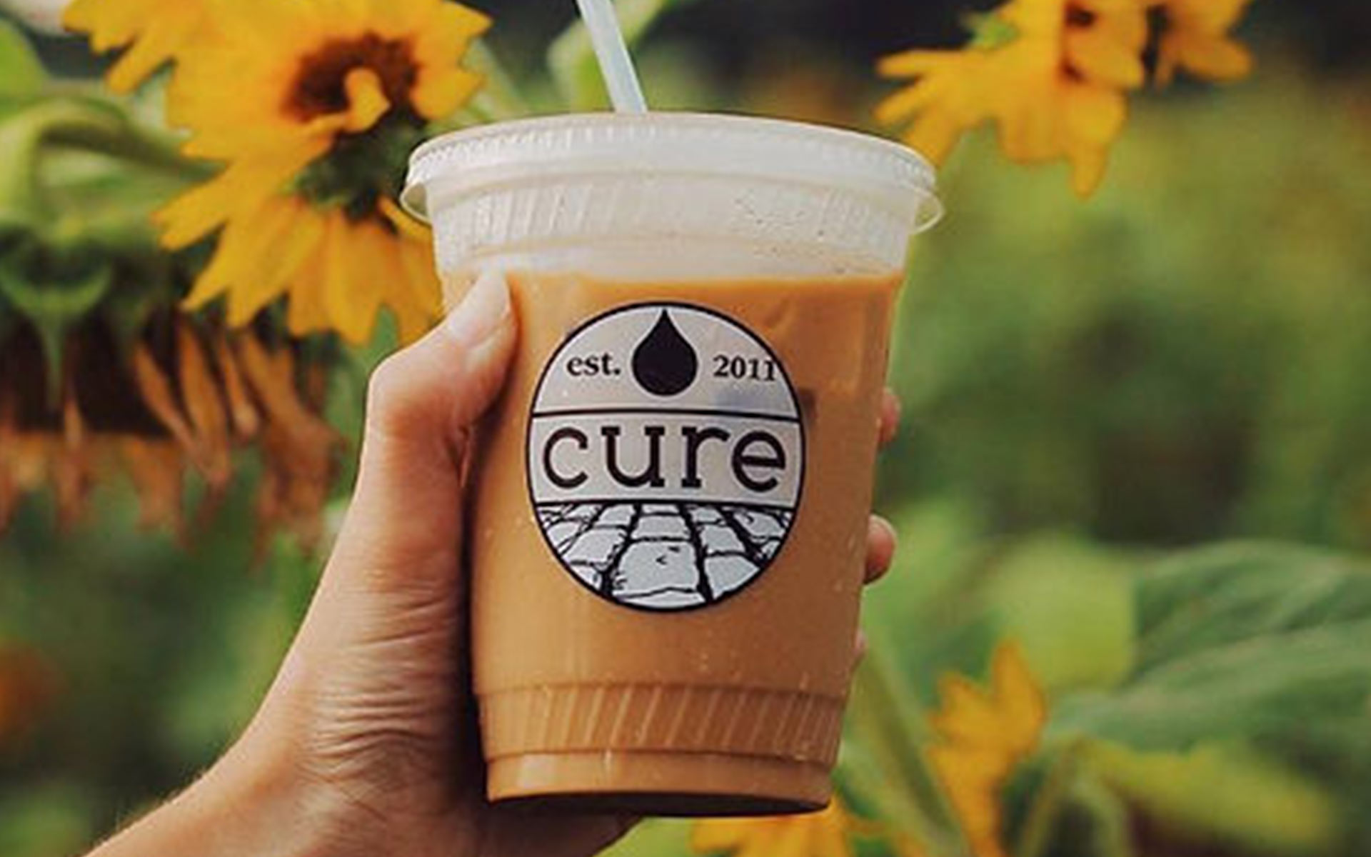 Cure Coffeehouse Offers A Welcoming And Enjoyable Experience For Guests Cure Coffeehouse Offers A Welcoming And Enjoyable Experience For Guests